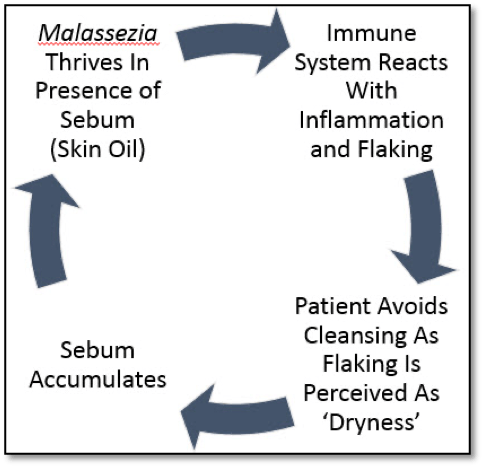 Seborrheic Dermatitis - Pennsylvania Dermatology Specialists